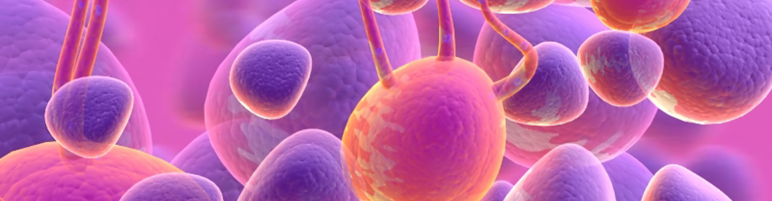 Accelerated Cell Recovery: What Dr. Robert Sheaff’s 50–100% Findings ...